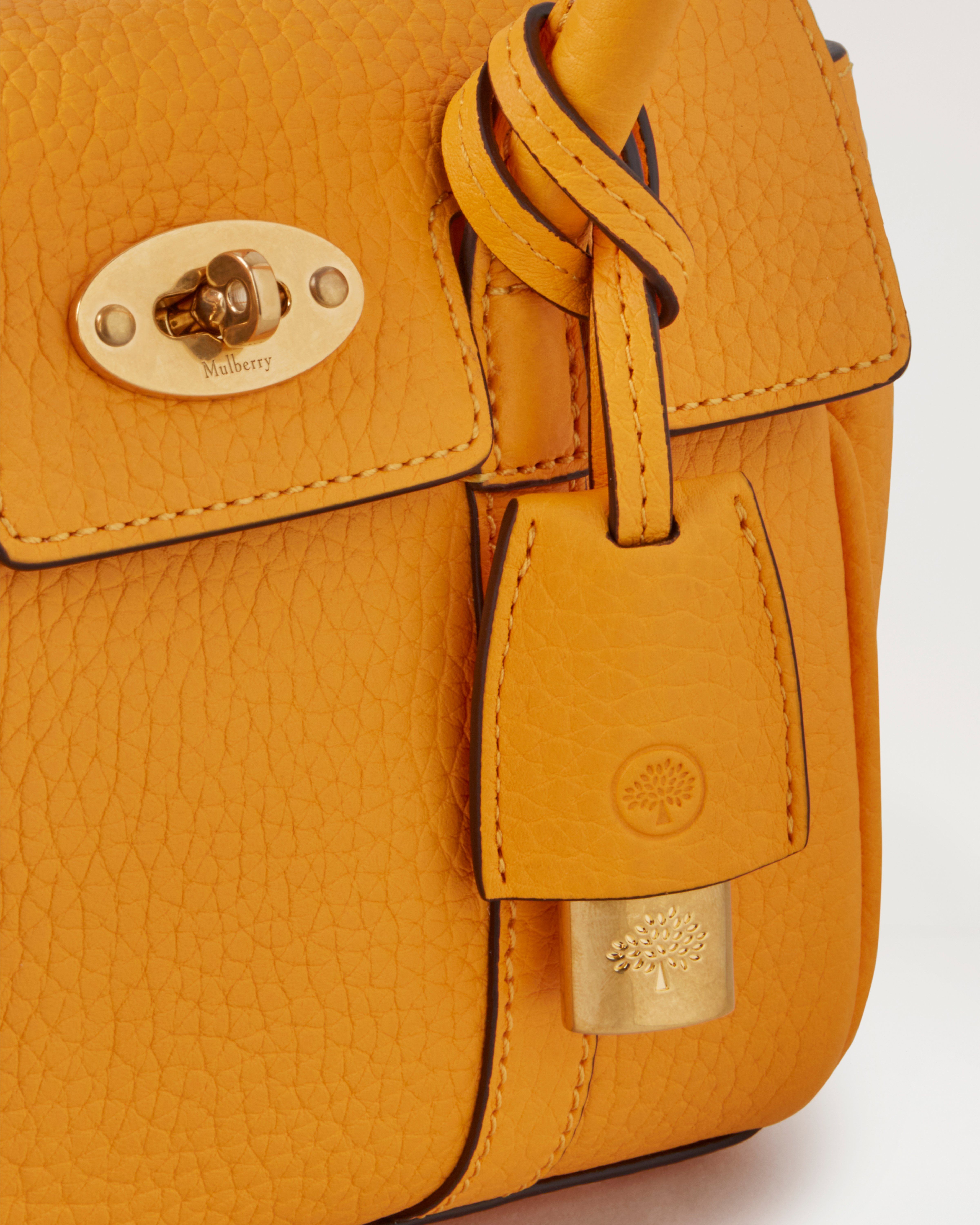 Mini Bayswater | Double Yellow Heavy Grain | Bayswater | Mulberry