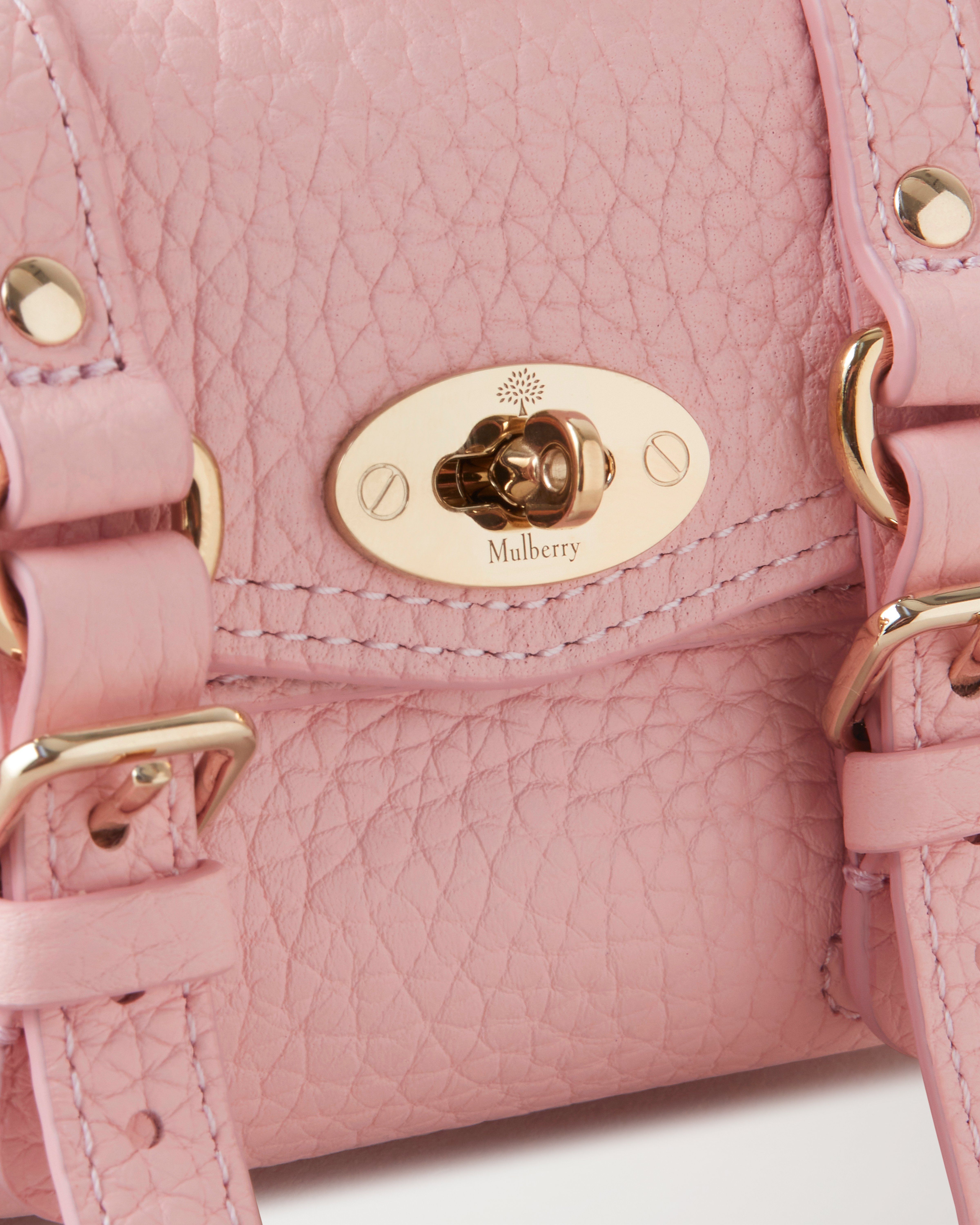 Micro Alexa | Powder Rose Heavy Grain | Family | Mulberry