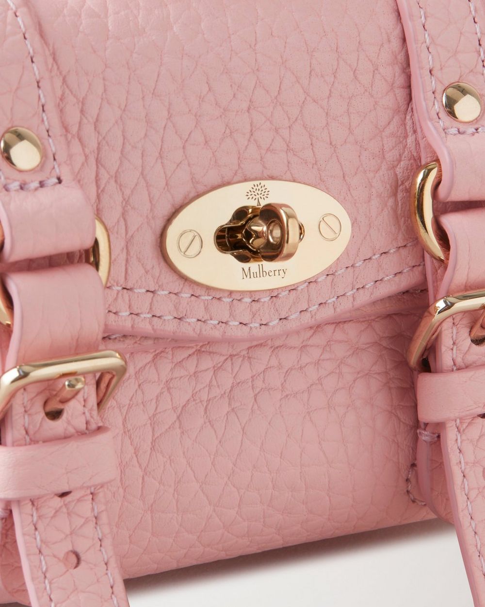 Micro Alexa | Powder Rose Heavy Grain | Family | Mulberry